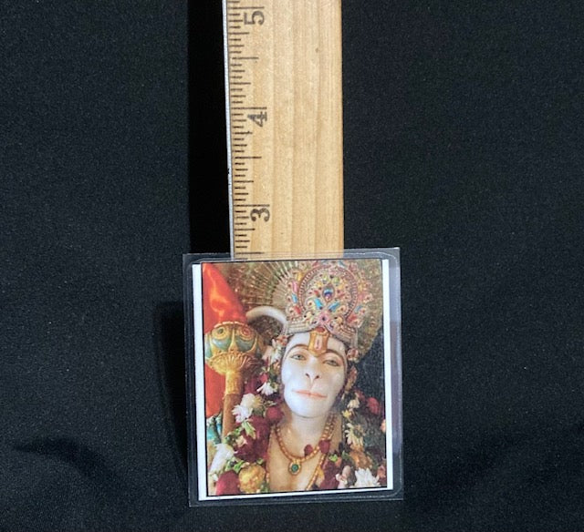 Neem Karoli Baba & Taos Hanuman Wallet Card – Puja Dukan
